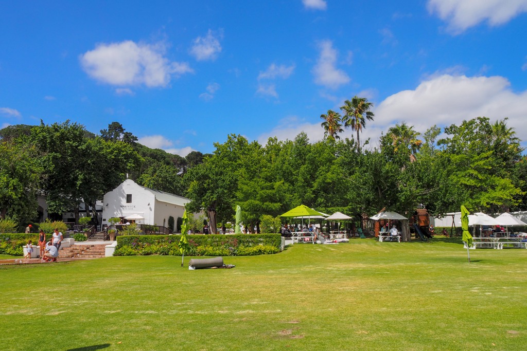 Great Wines and Leisurely Picnics at Warwick Wine Estate
