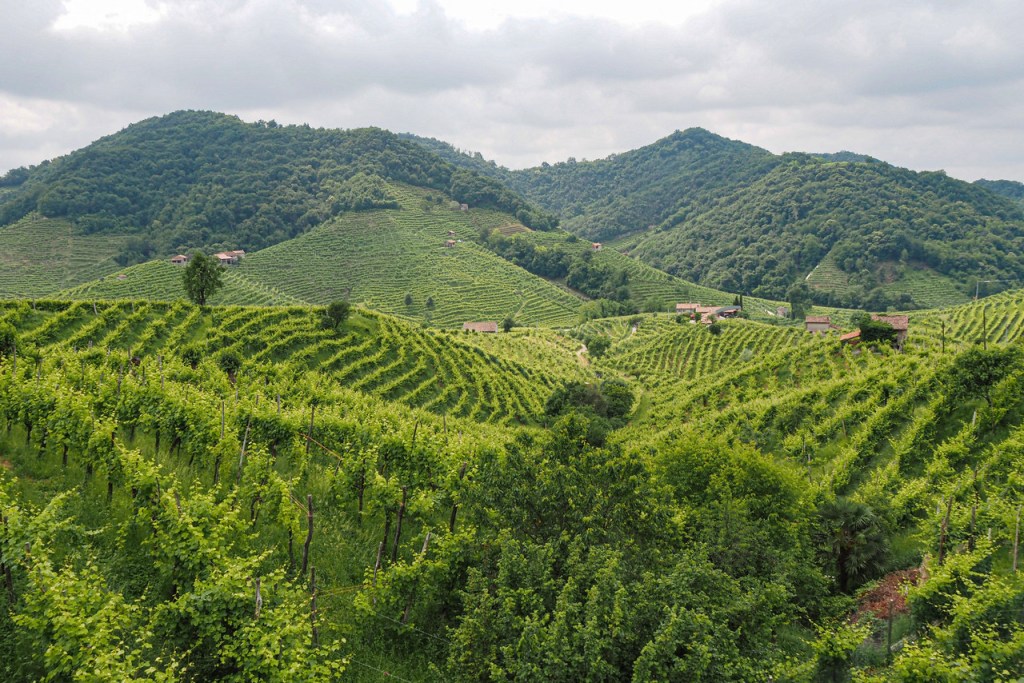 Get To Know Italy’s Thrilling Prosecco Hills