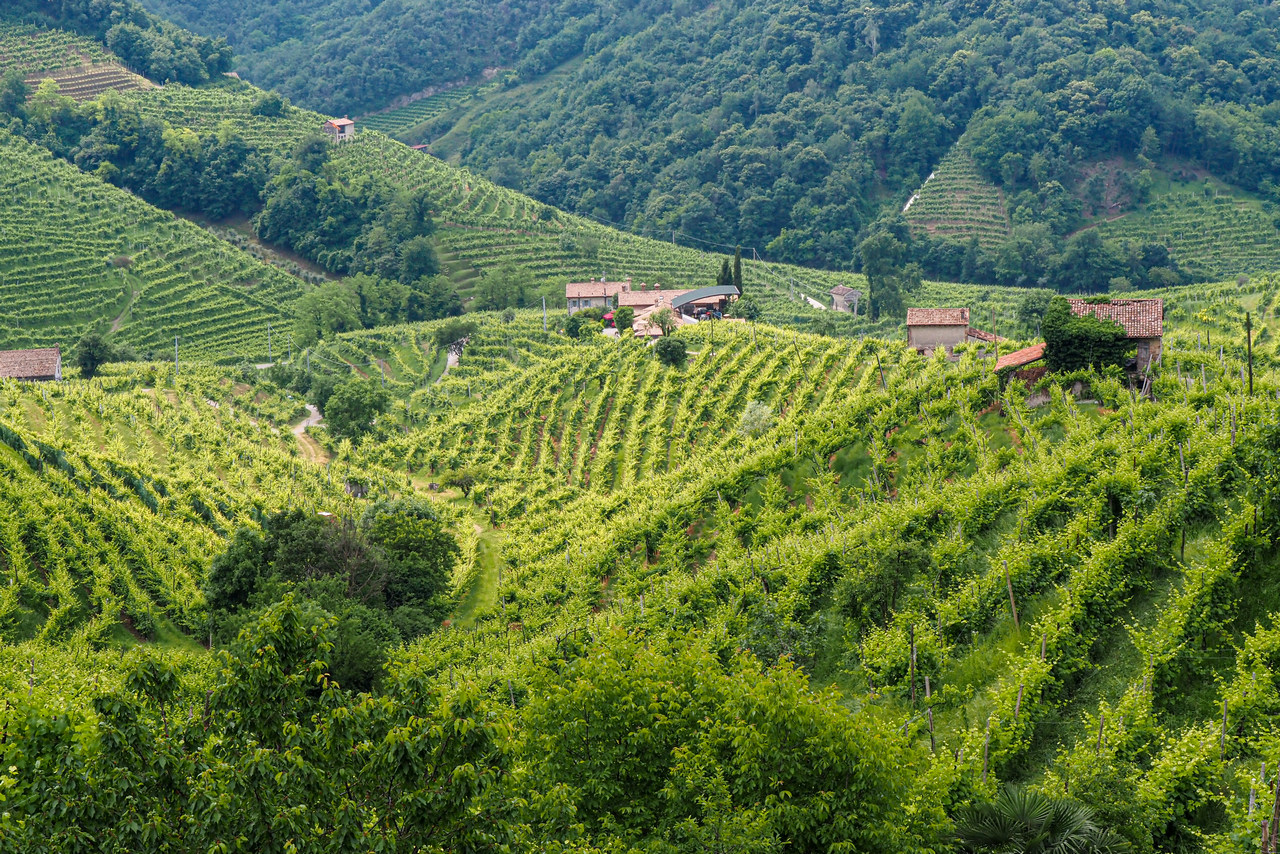 Get To Know Italy’s Thrilling Prosecco Hills