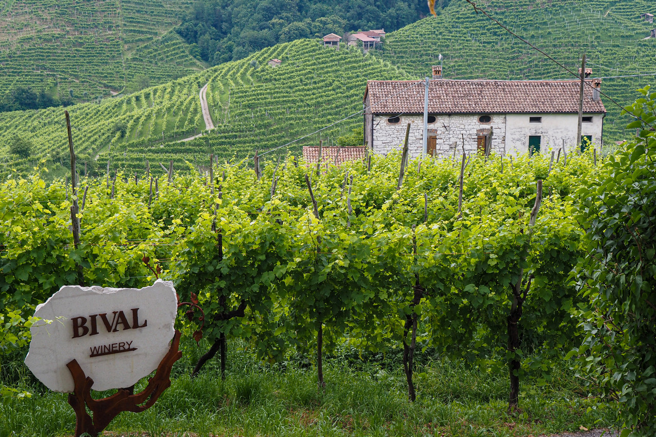 Get To Know Italy’s Thrilling Prosecco Hills